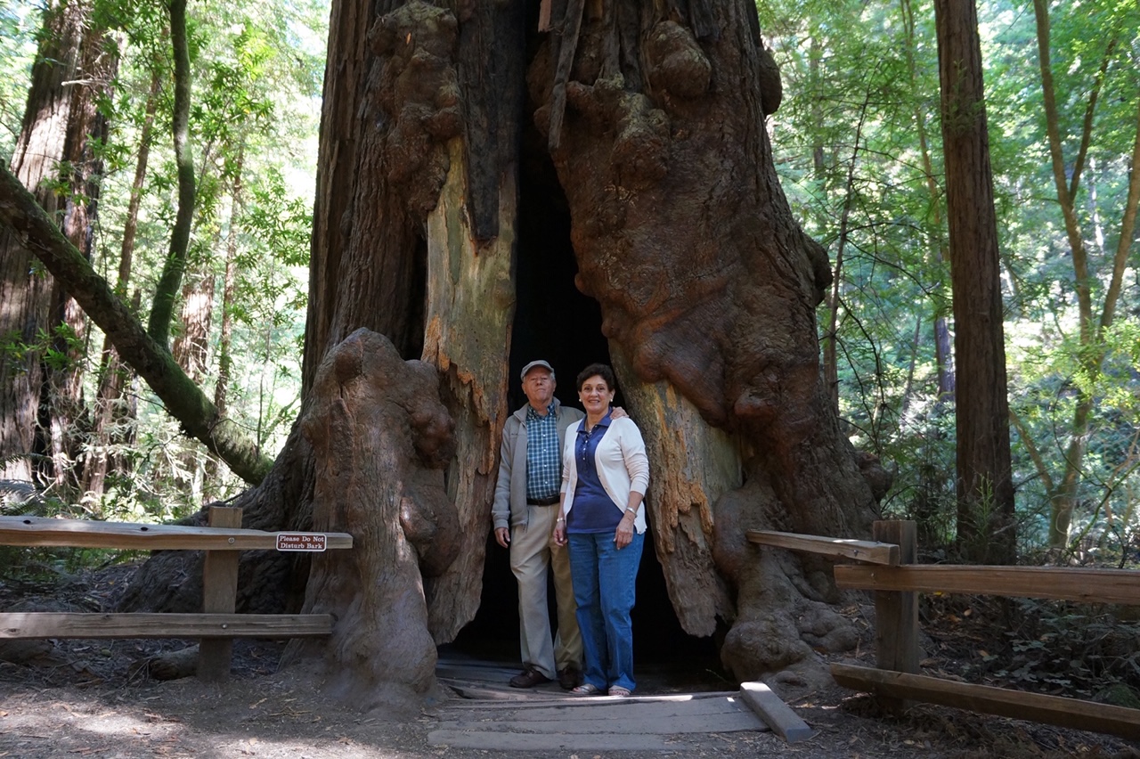 Secuoyas, Muir Woods, California, USA - Un Millón de Personas